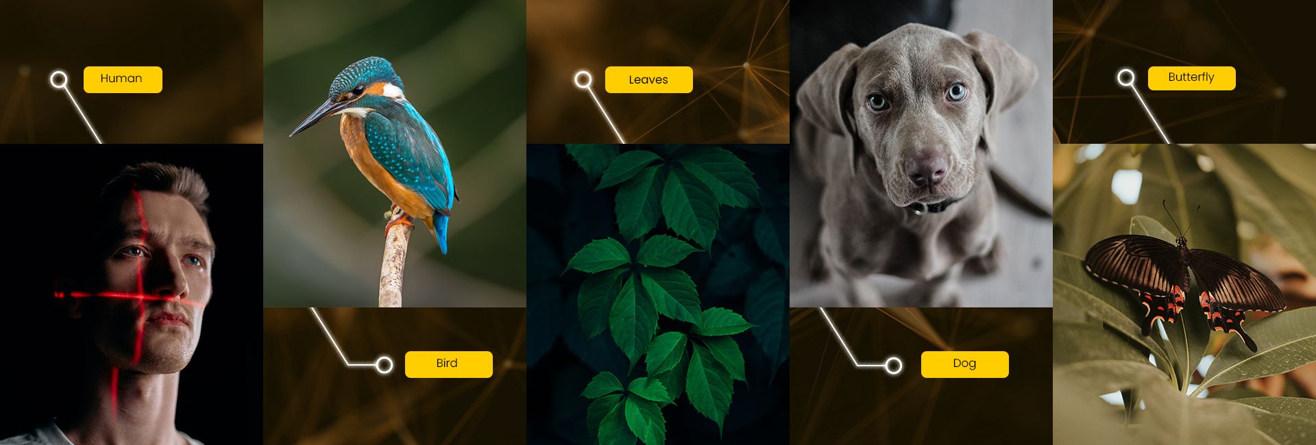How to do Multiclass Image Classification with Data Augmentation?